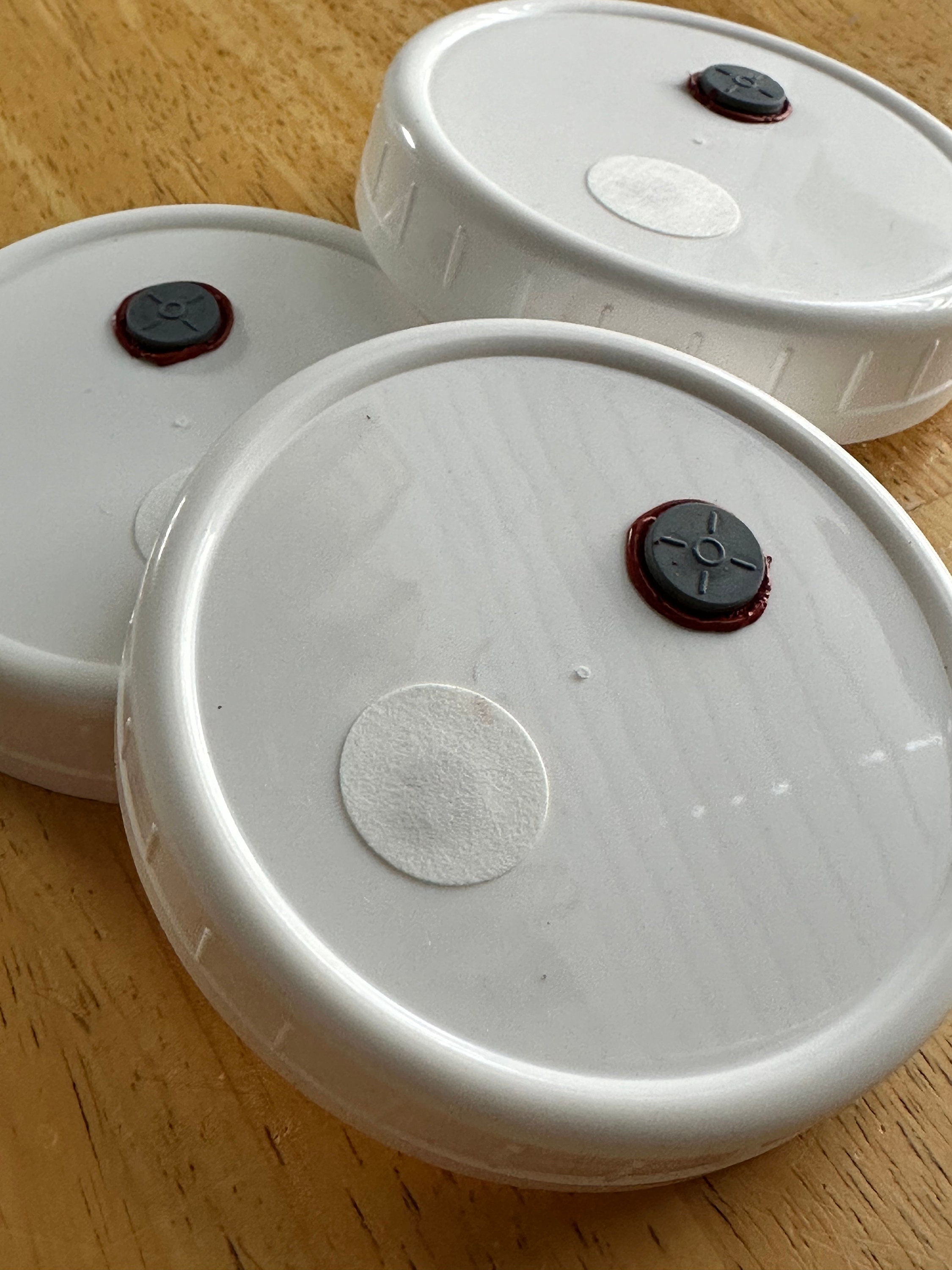 Cordyceps and Mushroom Spawn Jar Lids, Wide Mouth, . 25 µm Filter, Self ...