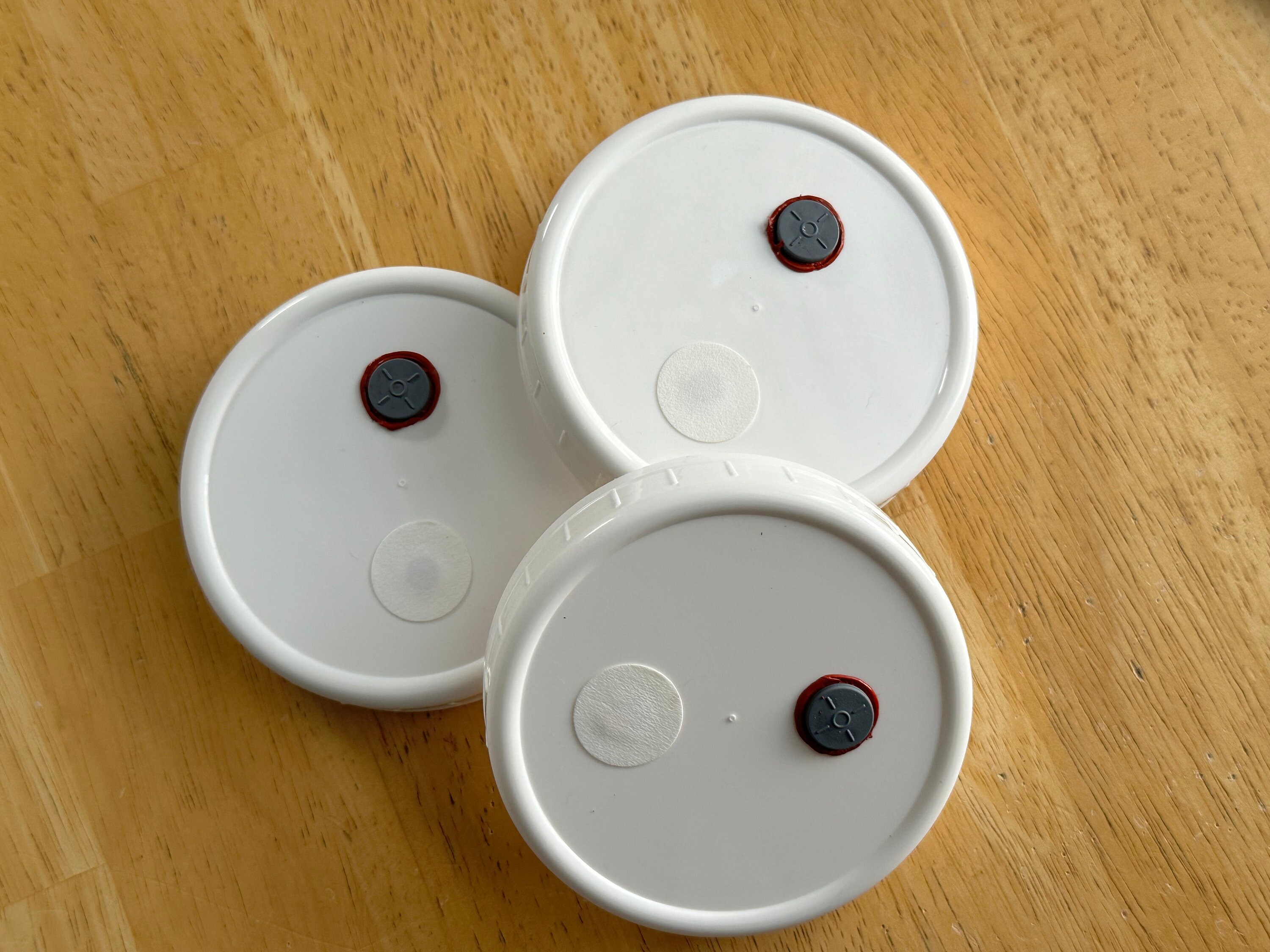 Cordyceps and Mushroom Spawn Jar Lids, Wide Mouth, . 25 µm Filter, Self ...