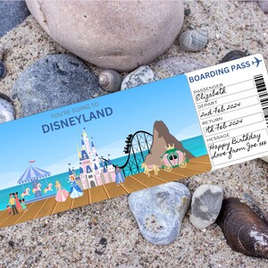 Personalised Custom Disneyland Theme Park Surprise Reveal Ticket - Etsy