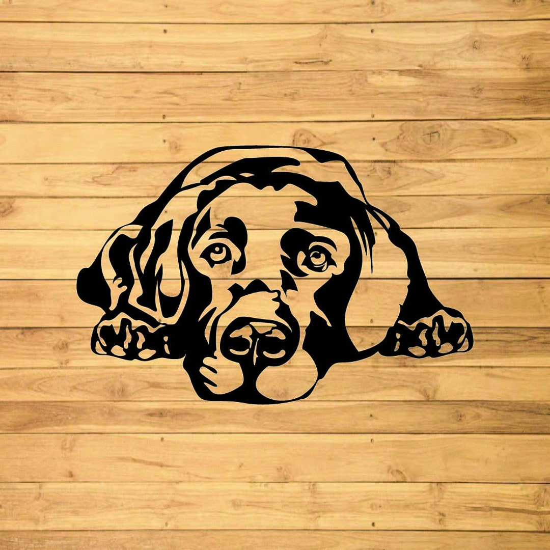 Animal Pet Peeking Labrador Retriever Svg, Peeking Labrador Retriever ...