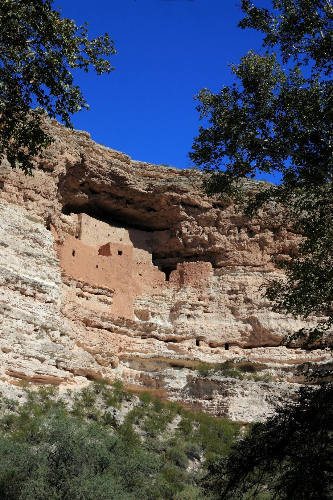 Montezuma's Castle Indian Cliff Dwelling Framed by Green Trees and ...