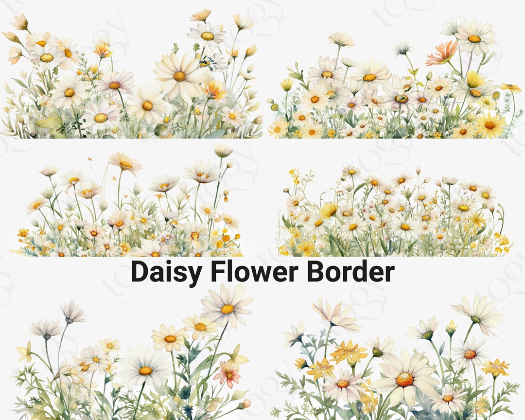 Watercolor Daisy Flower Border Clipart, Daisy Clipart, White Flowers ...