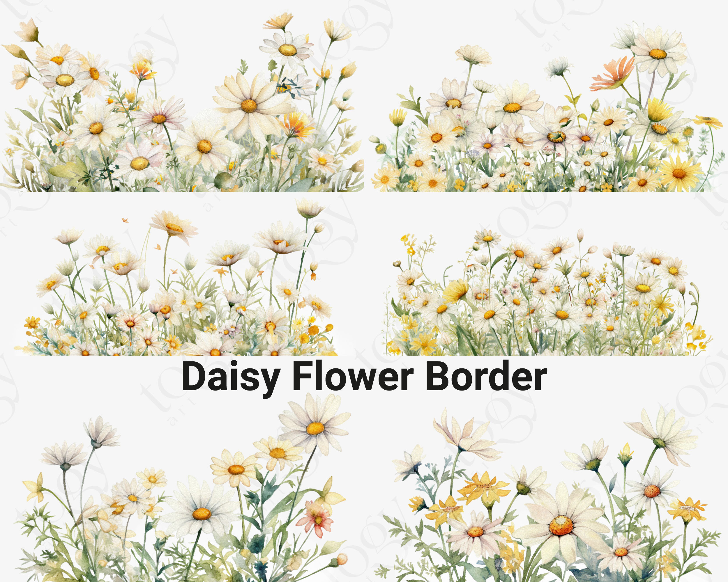 Watercolor Daisy Flower Border Clipart, Daisy Clipart, White Flowers ...