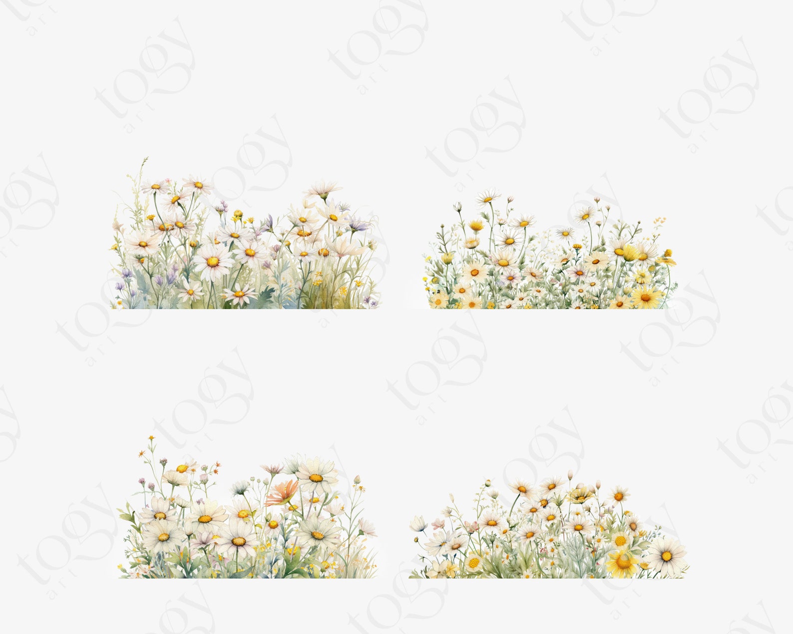 Watercolor Daisy Flower Border Clipart, Daisy Clipart, White Flowers ...