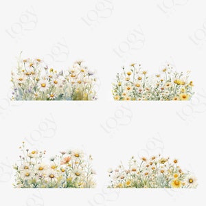 Watercolor Daisy Flower Border Clipart, Daisy Clipart, White Flowers ...
