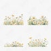 Watercolor Daisy Flower Border Clipart, Daisy Clipart, White Flowers ...