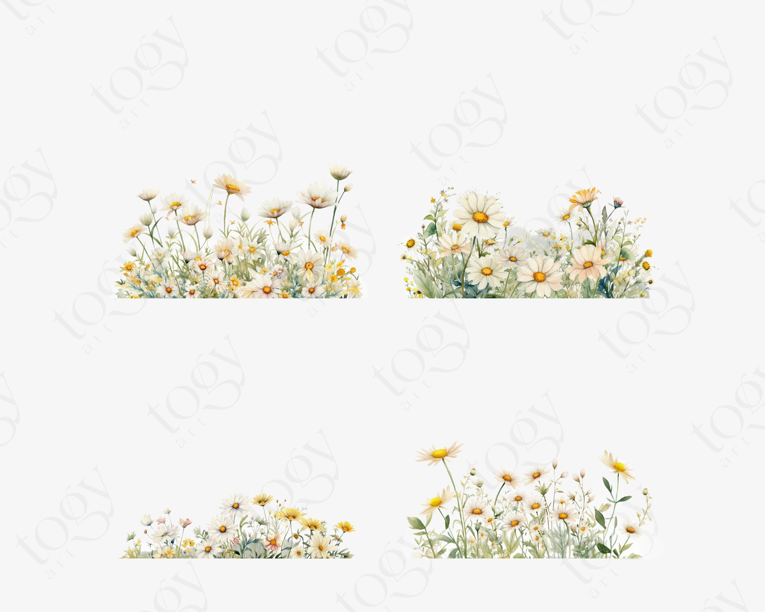 Watercolor Daisy Flower Border Clipart, Daisy Clipart, White Flowers ...