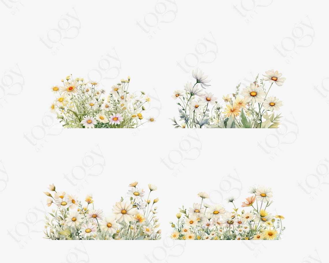 Watercolor Daisy Flower Border Clipart, Daisy Clipart, White Flowers ...