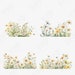 Watercolor Daisy Flower Border Clipart, Daisy Clipart, White Flowers ...