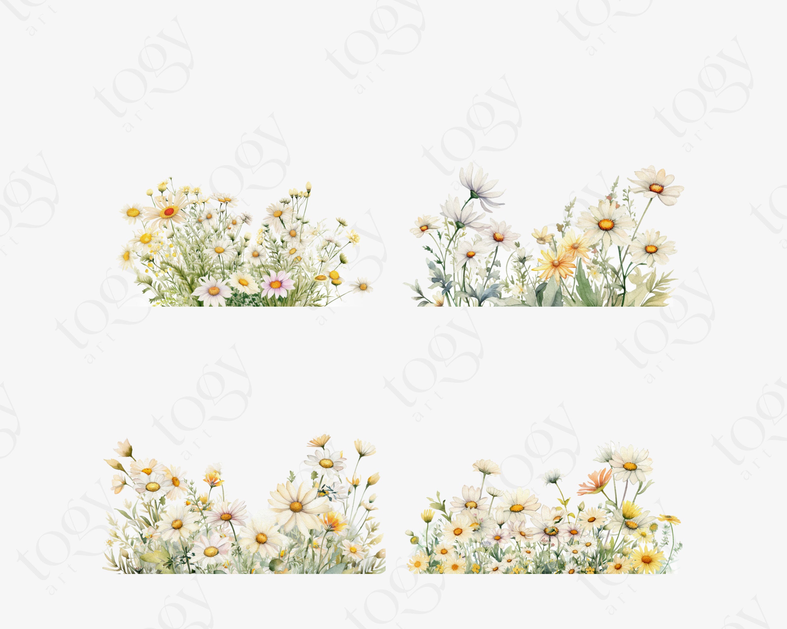 Watercolor Daisy Flower Border Clipart, Daisy Clipart, White Flowers ...