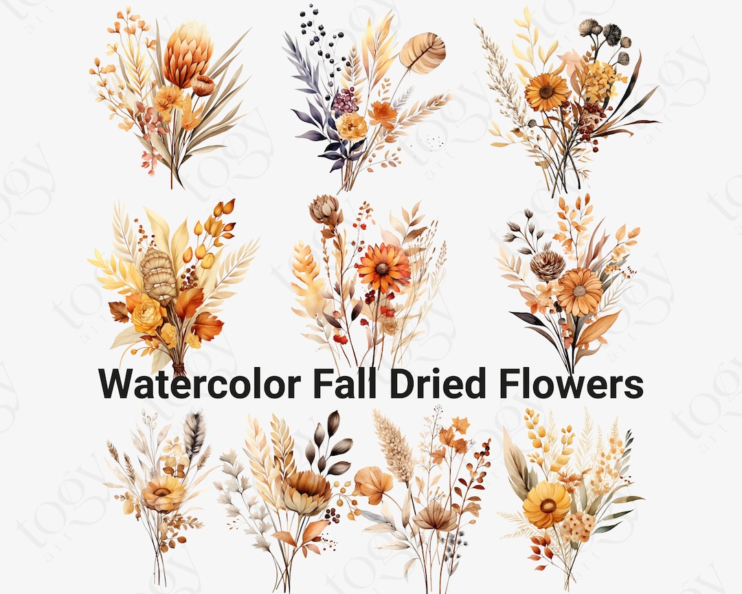 35 PNG Watercolor Fall Dried Flowers Clipart, Autumn Boho Wildflowers ...