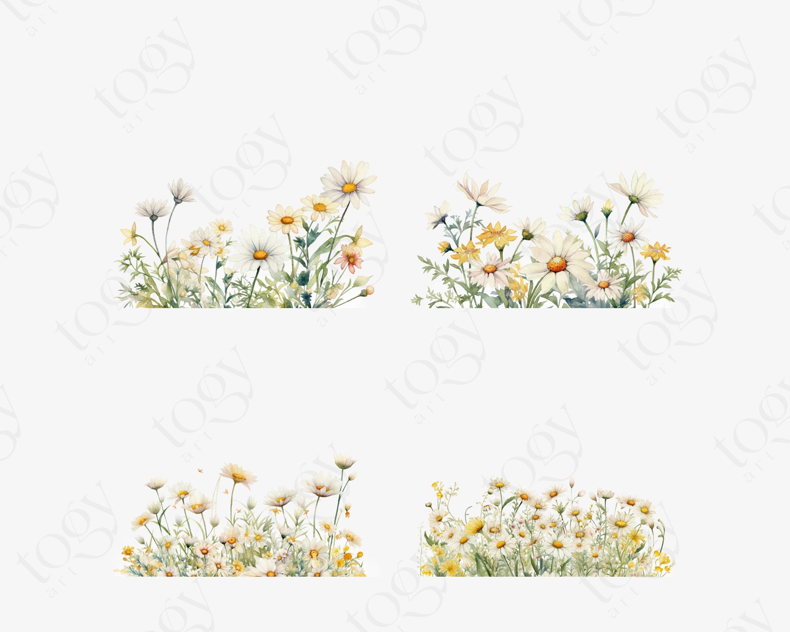 Watercolor Daisy Flower Border Clipart, Daisy Clipart, White Flowers ...