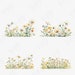 Watercolor Daisy Flower Border Clipart, Daisy Clipart, White Flowers ...