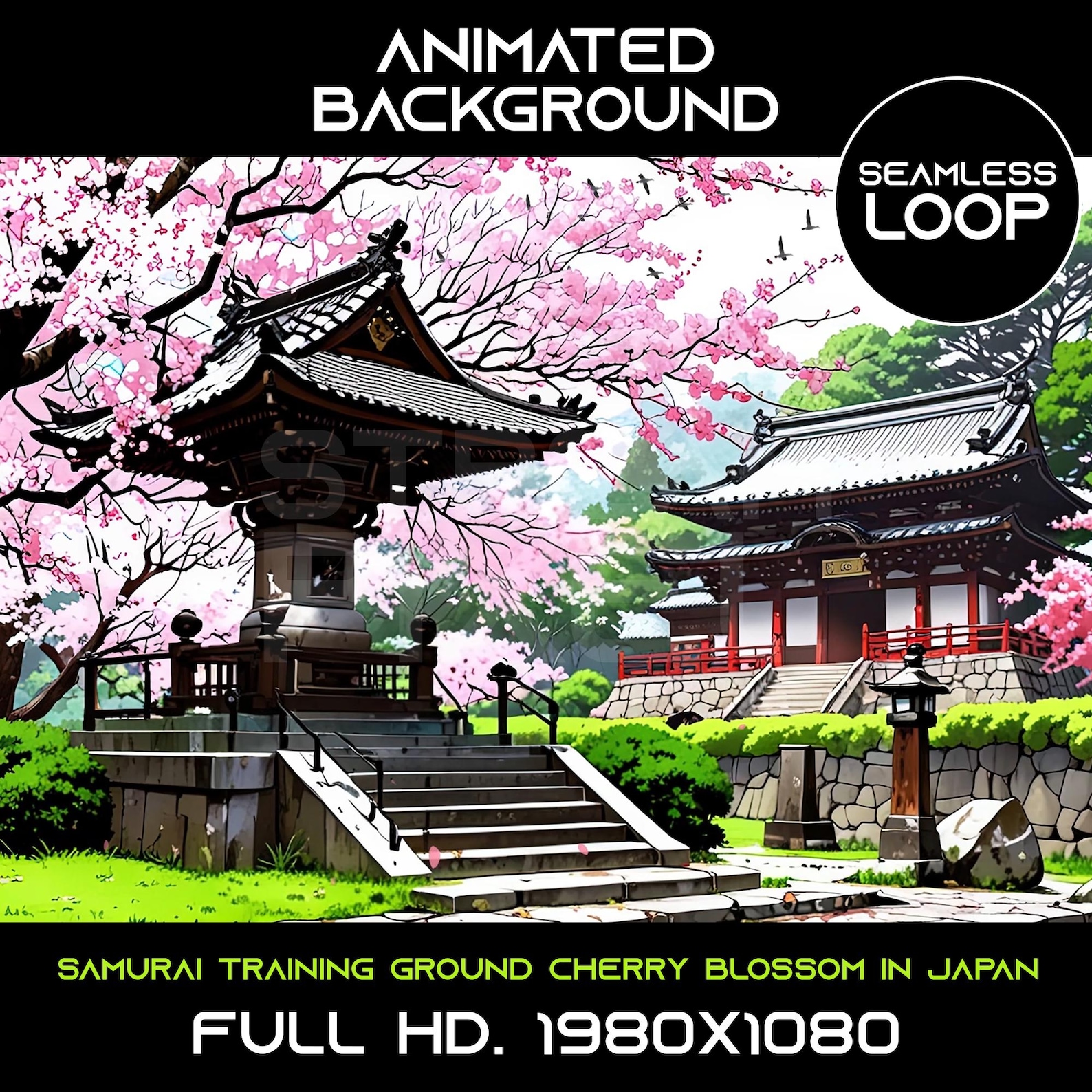 Animated Virtual Background Samurai Training Ground Cherry Blossom in ...