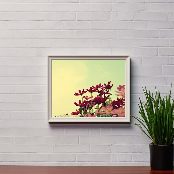 Cosmos Wall Art - Etsy