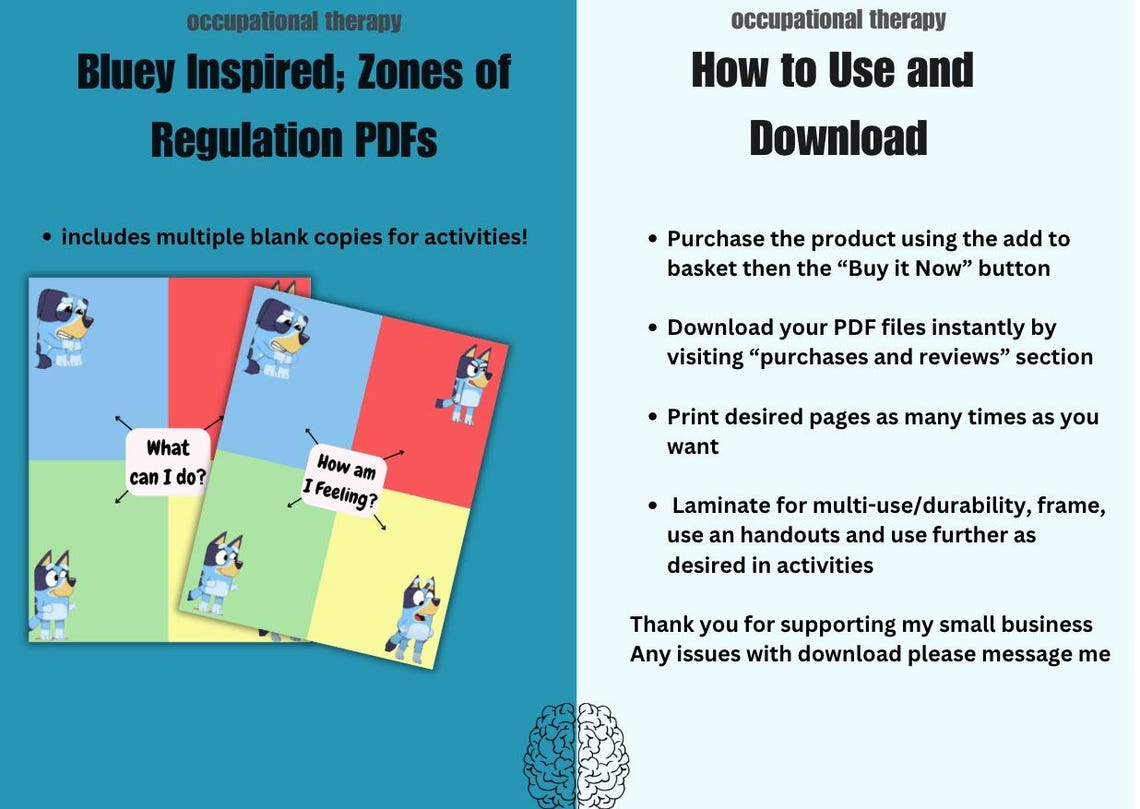 Zones of Regulation Bluey Poster, Self Regulation, Emotions Toolkit ...