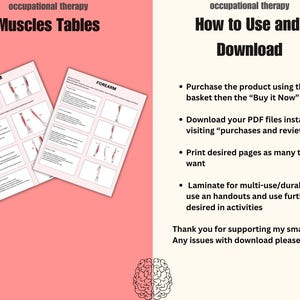 Muscles Table Occupational Therapy, Hand Therapy, Upper Limb Study ...