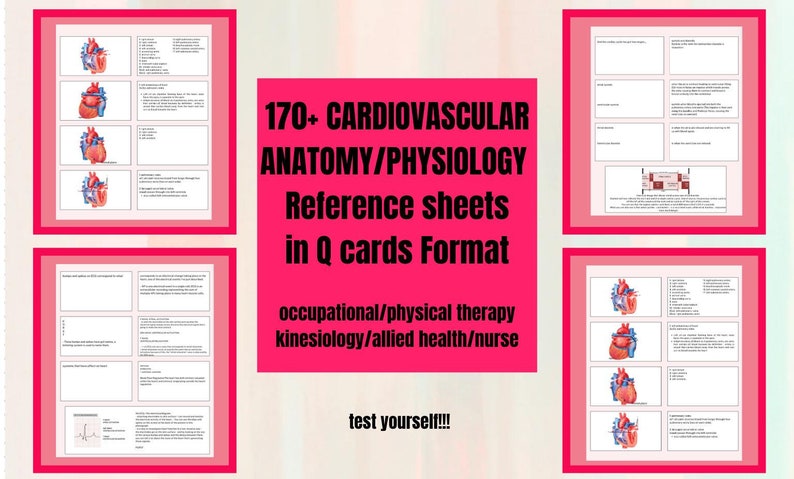 Cardiovascular System Flashcards, Digital Reference Bundle, 170 ...
