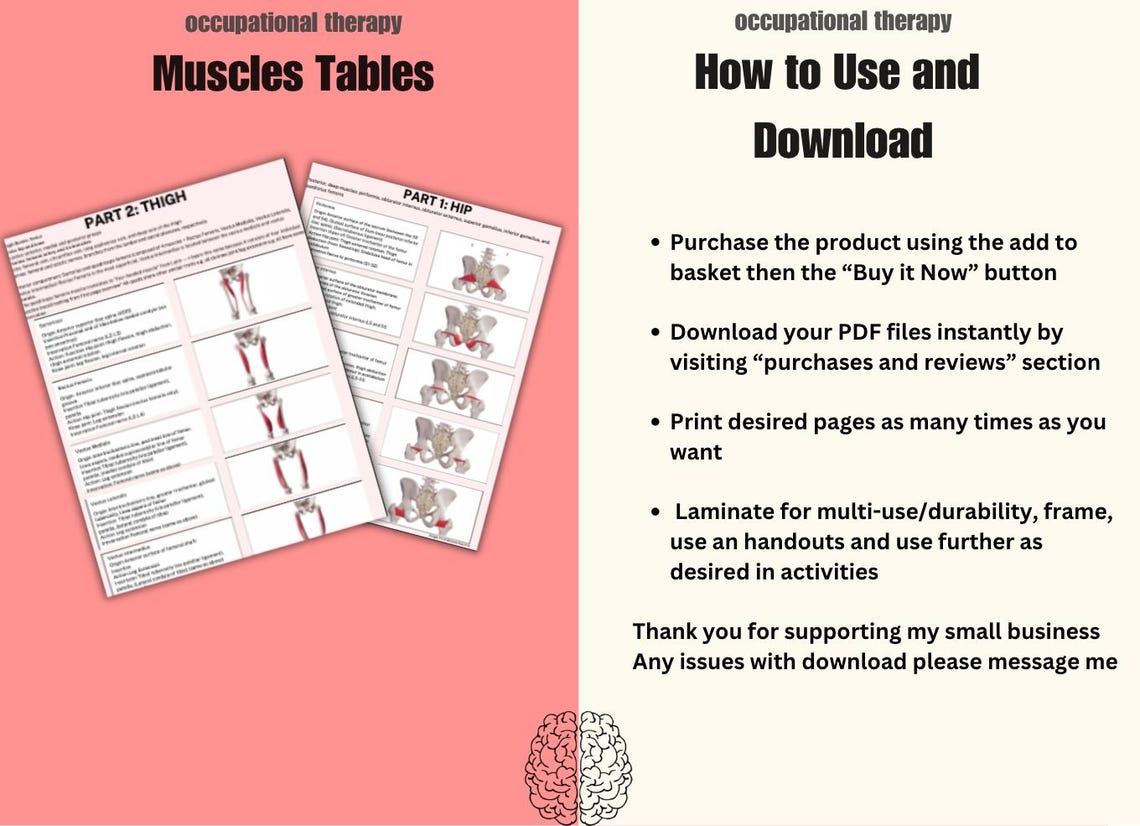 Muscles Table Occupational Therapy, Lower Limb Study Sheets, Reference ...