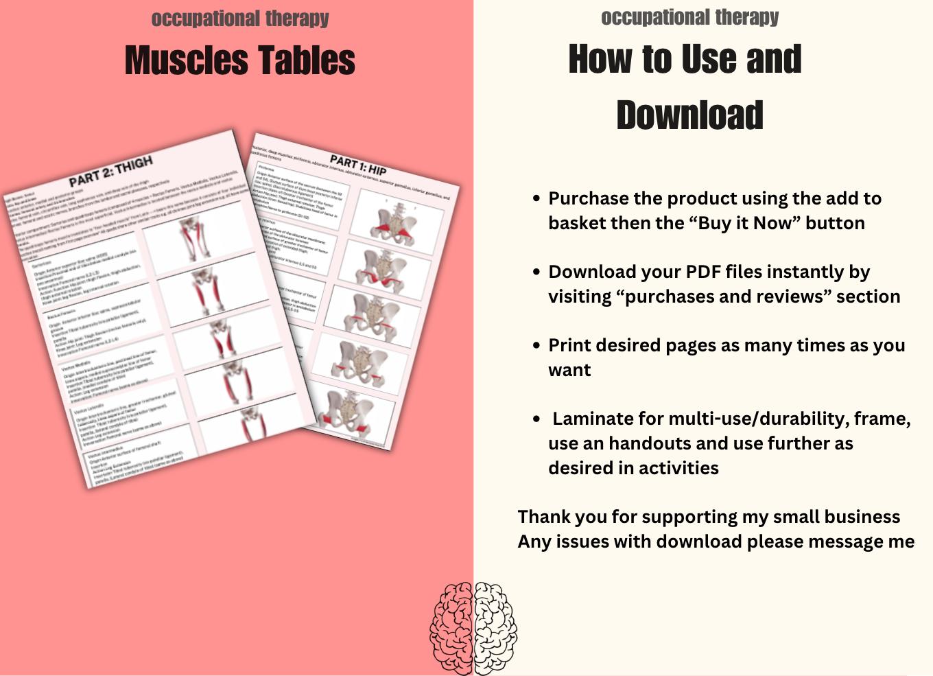 Muscles Table Occupational Therapy, Lower Limb Study Sheets, Reference ...