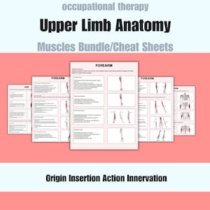 Muscles Table Occupational Therapy, Hand Therapy, Upper Limb Study ...