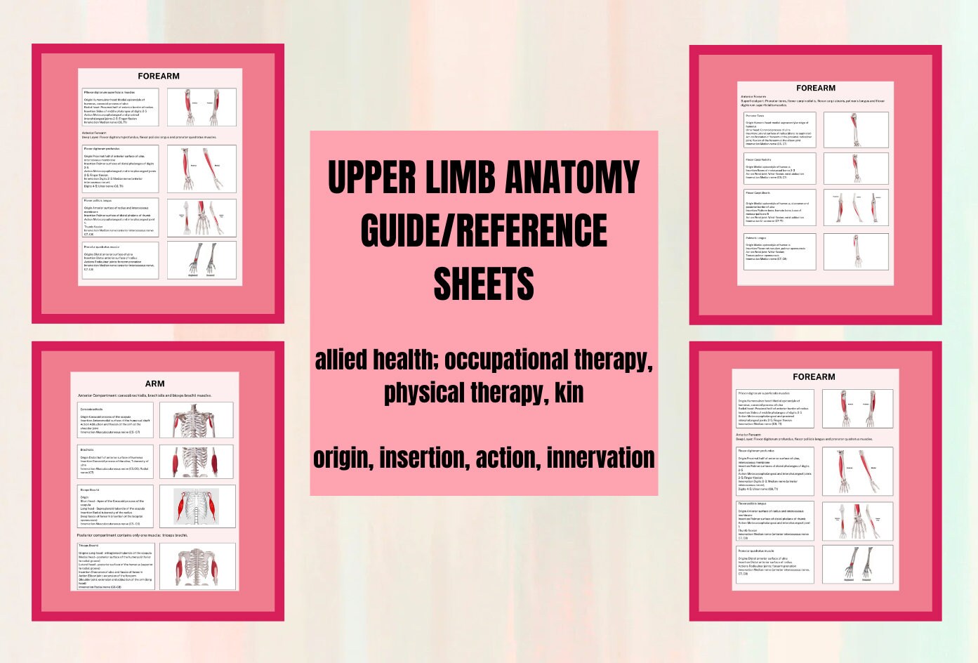 Muscles Table Occupational Therapy, Hand Therapy, Upper Limb Study ...