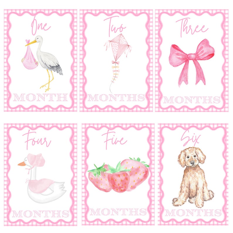 Baby Girl Milestone Cards - Etsy