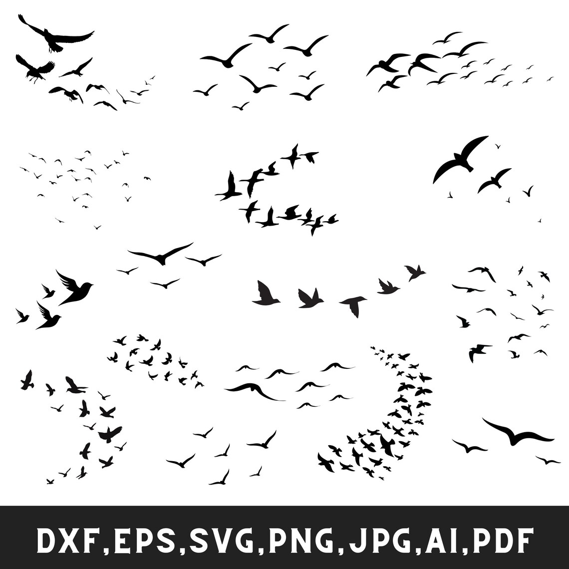 Flock of Birds Svg, Flying Birds Svg, Birds in the Sky Svg, Flock of ...