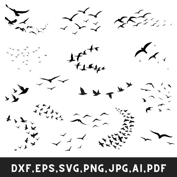 Birds on Branches Svg, Birds Svg, Birds on Tree Svg, Flock of Birds Svg ...