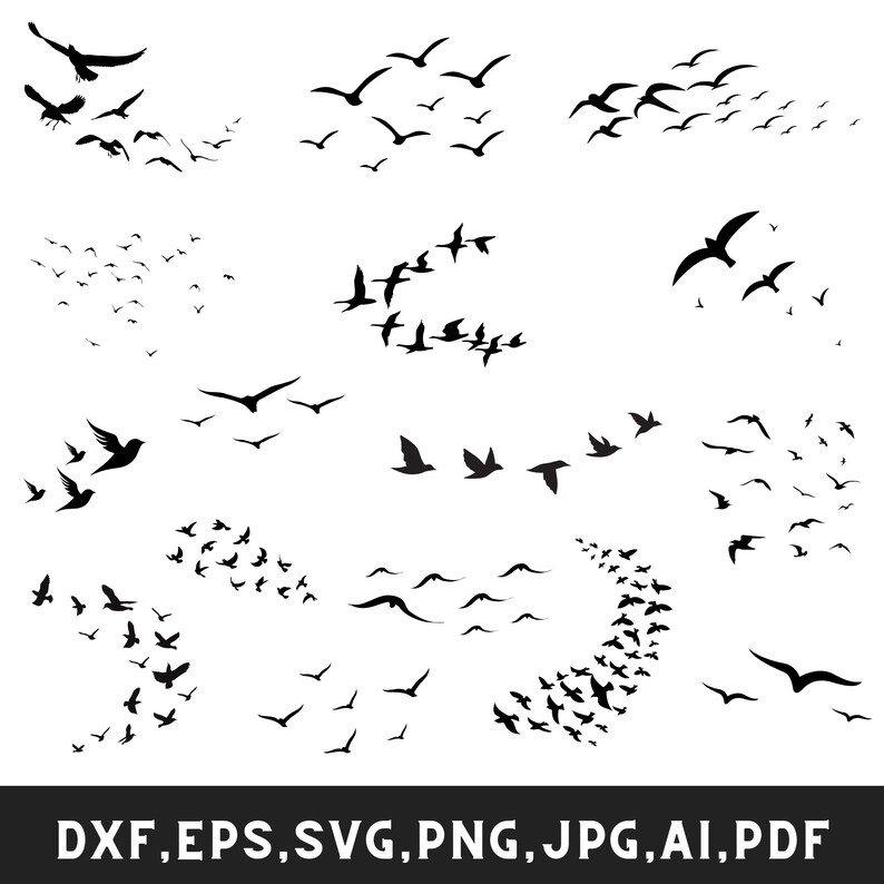 Flock of Birds Svg, Flying Birds Svg, Birds in the Sky Svg, Flock of ...