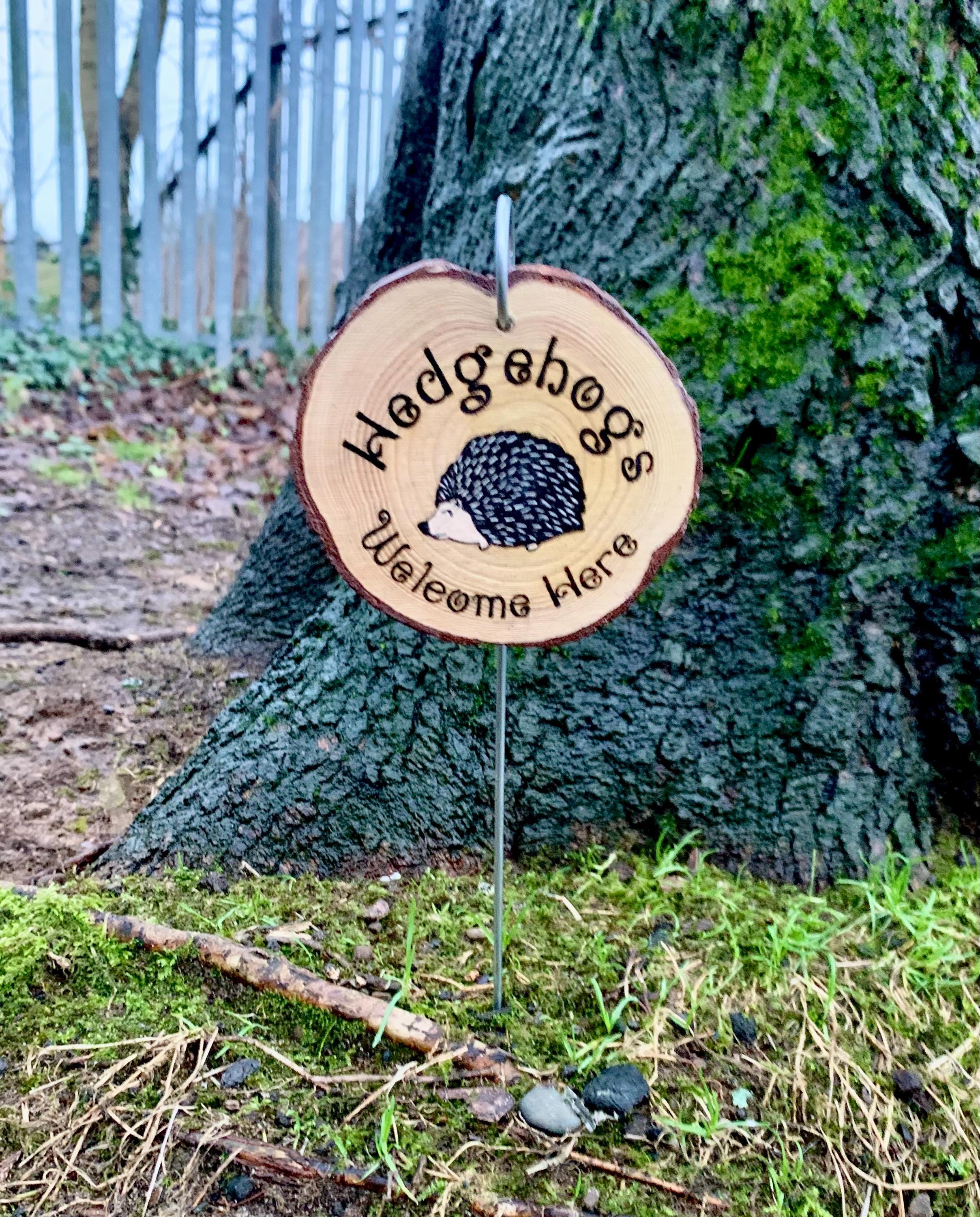 Wooden Hedgehog Garden Plaque With Metal Ground Stake — Laser Engraved ...