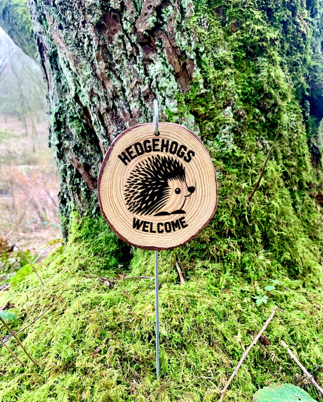 Wooden Hedgehog Welcome Sign/plaque Welcome Garden Sign, Laser Engraved ...