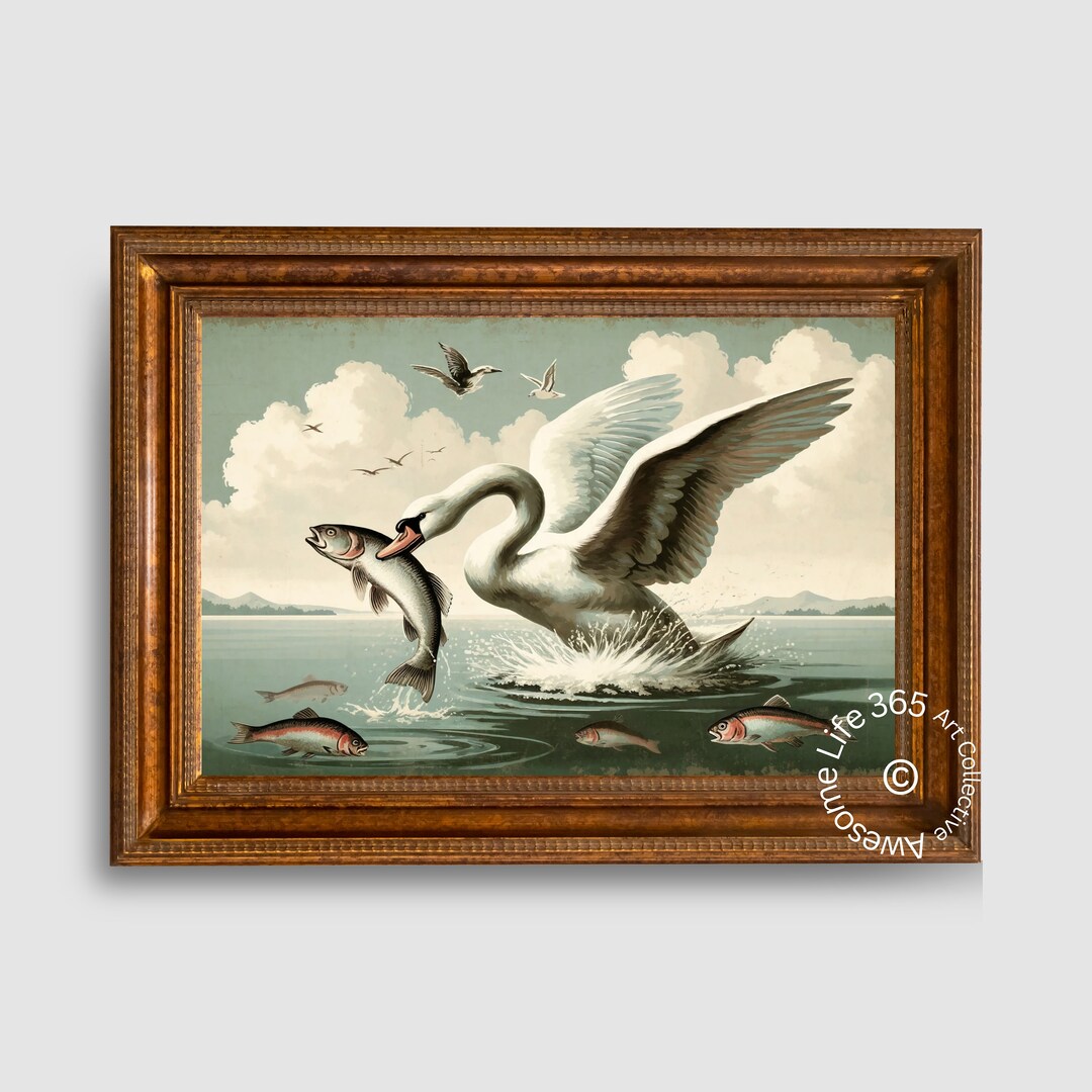 Swan, Vintage Art, Powerful Pose, Hunting, Water Scene, 1960s, Nature ...