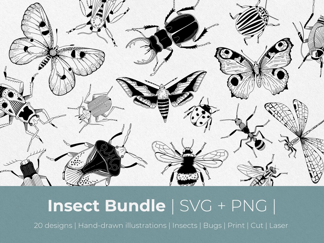 20 Insects SVG PNG Bundle Bugs Butterfly - Etsy