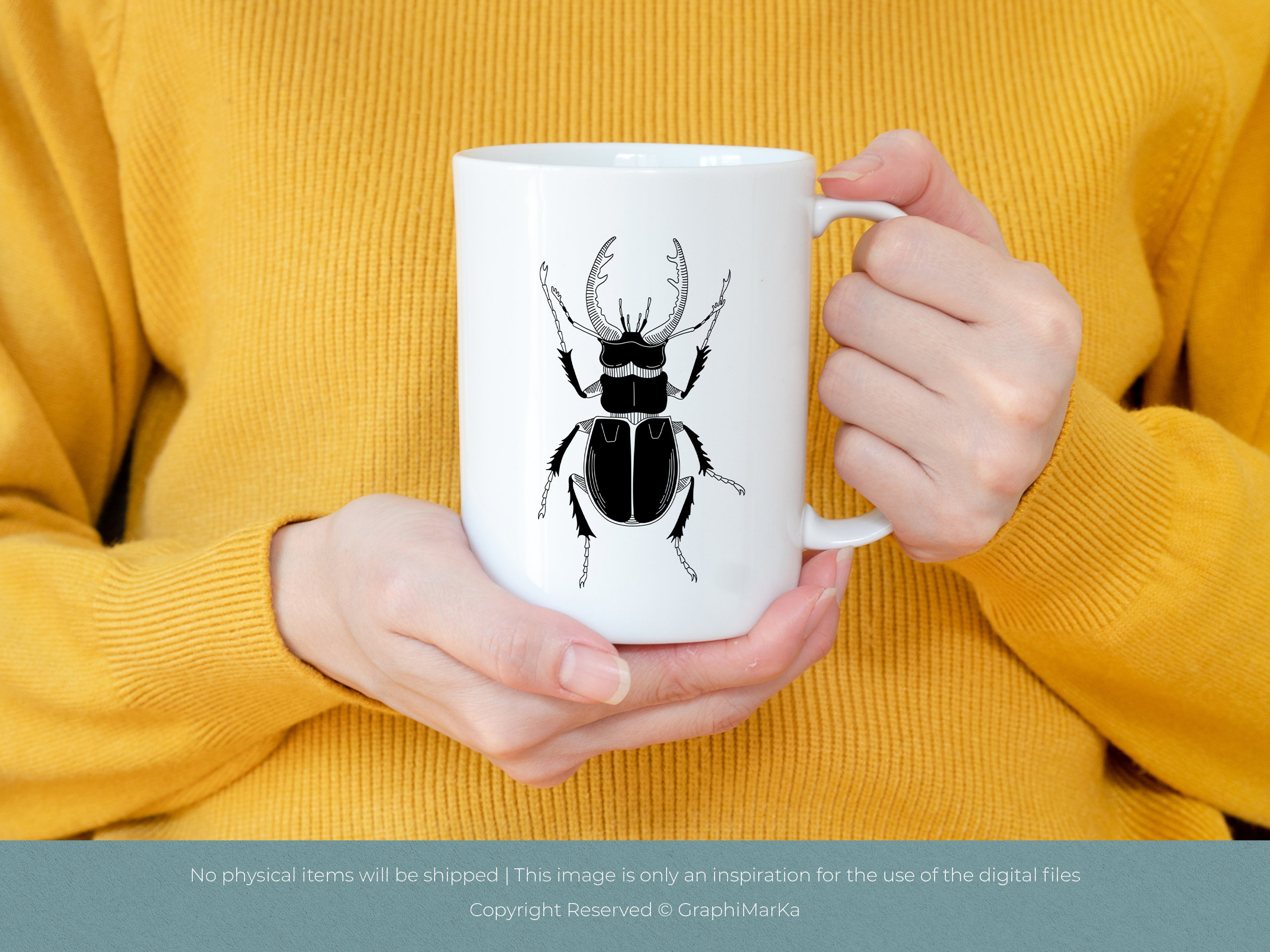 20 Insects SVG PNG Bundle Bugs Butterfly - Etsy