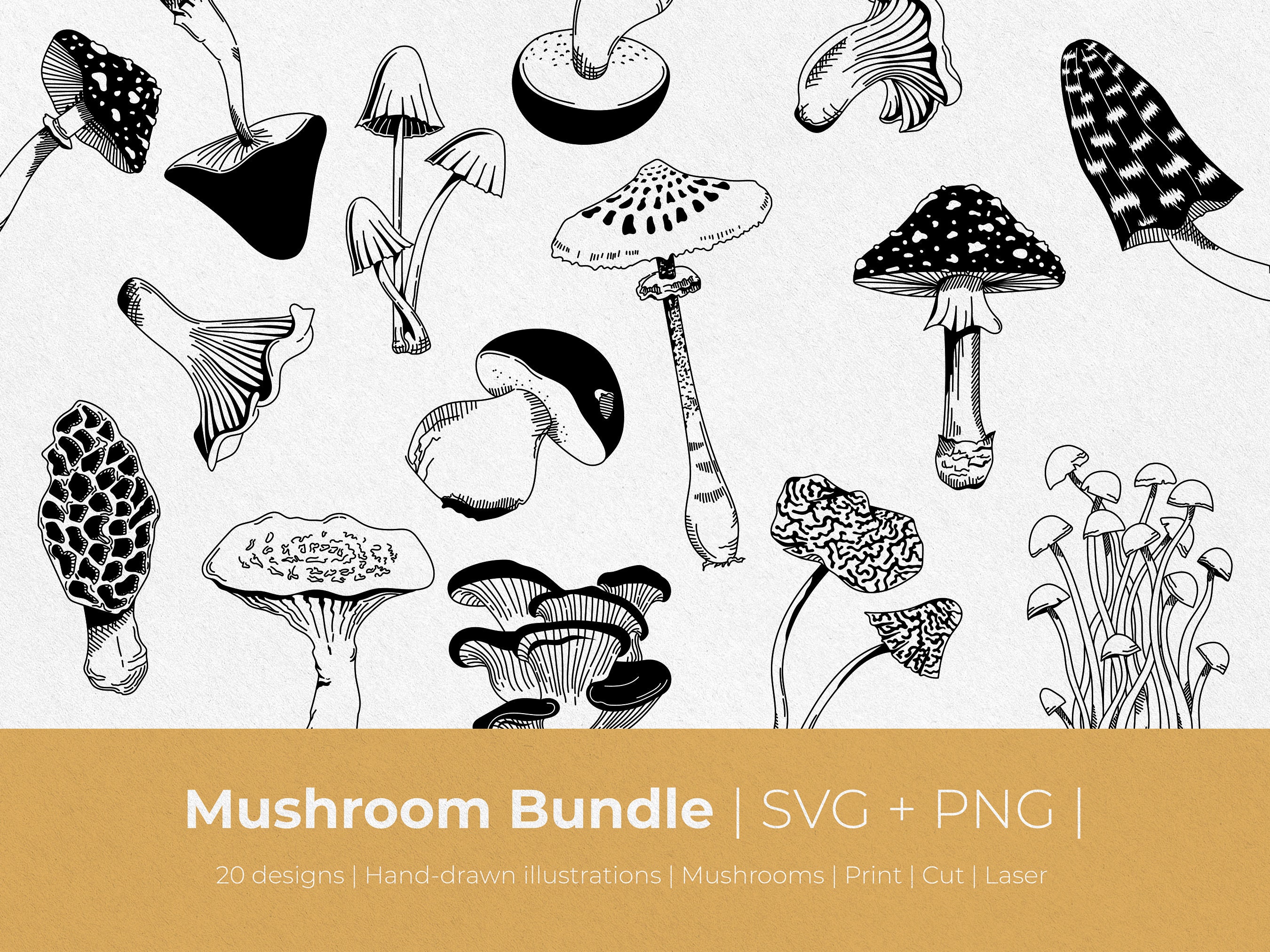 20 Mushroom SVG PNG Bundle Mushroom Clipart Fungus Svg Fungus Fungi ...