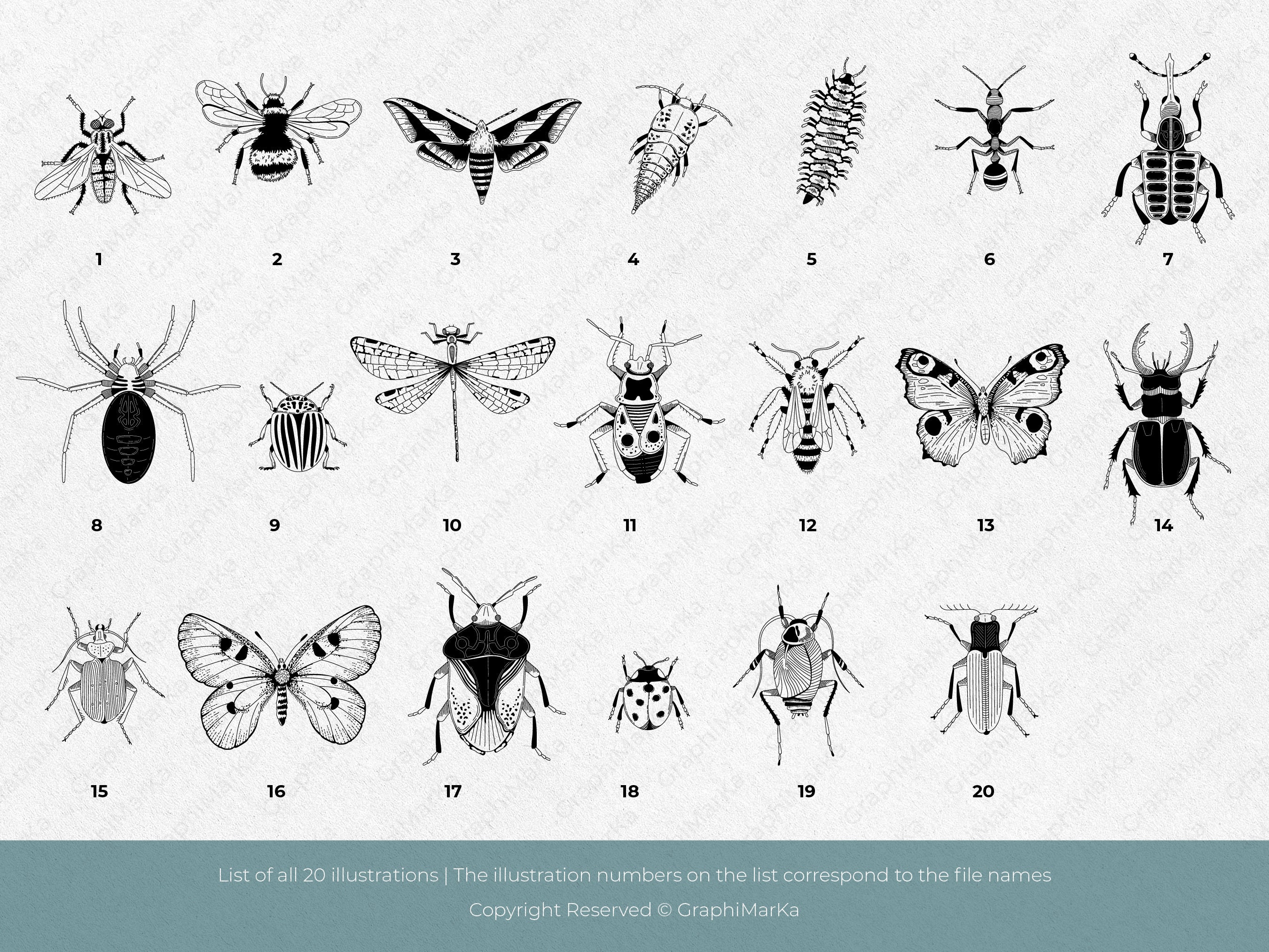 20 Insects SVG PNG Bundle Bugs Butterfly - Etsy