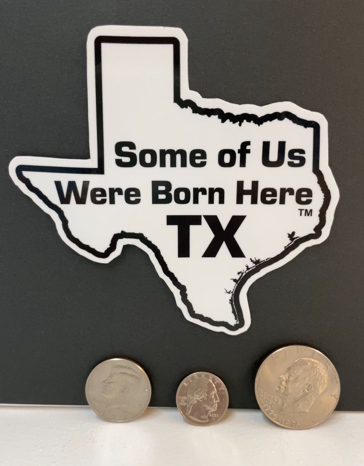 Texas Bumper Sticker, Texas Car Decal, Texas State Sticker, Texas ...