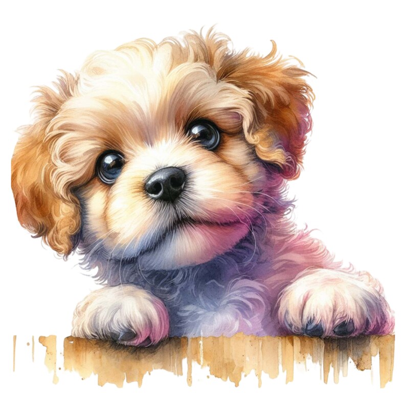 Funny Peeking Dog Car Decal Dog Sticker - Etsy UK