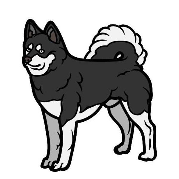 Klee Kai - Etsy