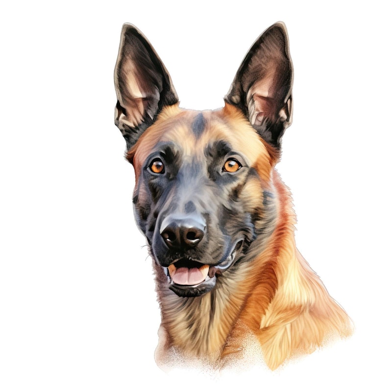 Autocollant malinois - Etsy.de