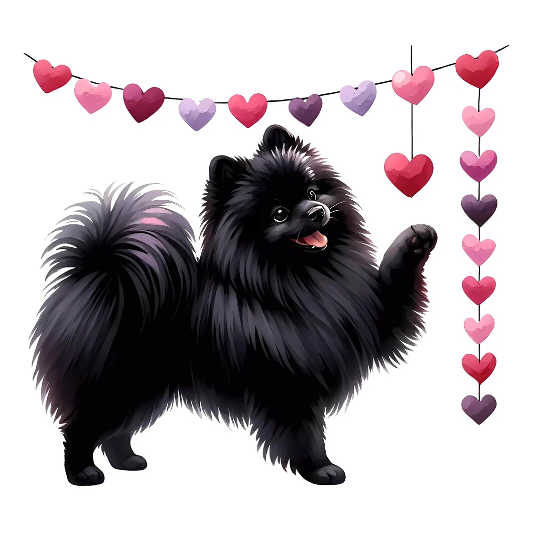 3X Black Spitz Car Sticker Dog Sticker - Etsy