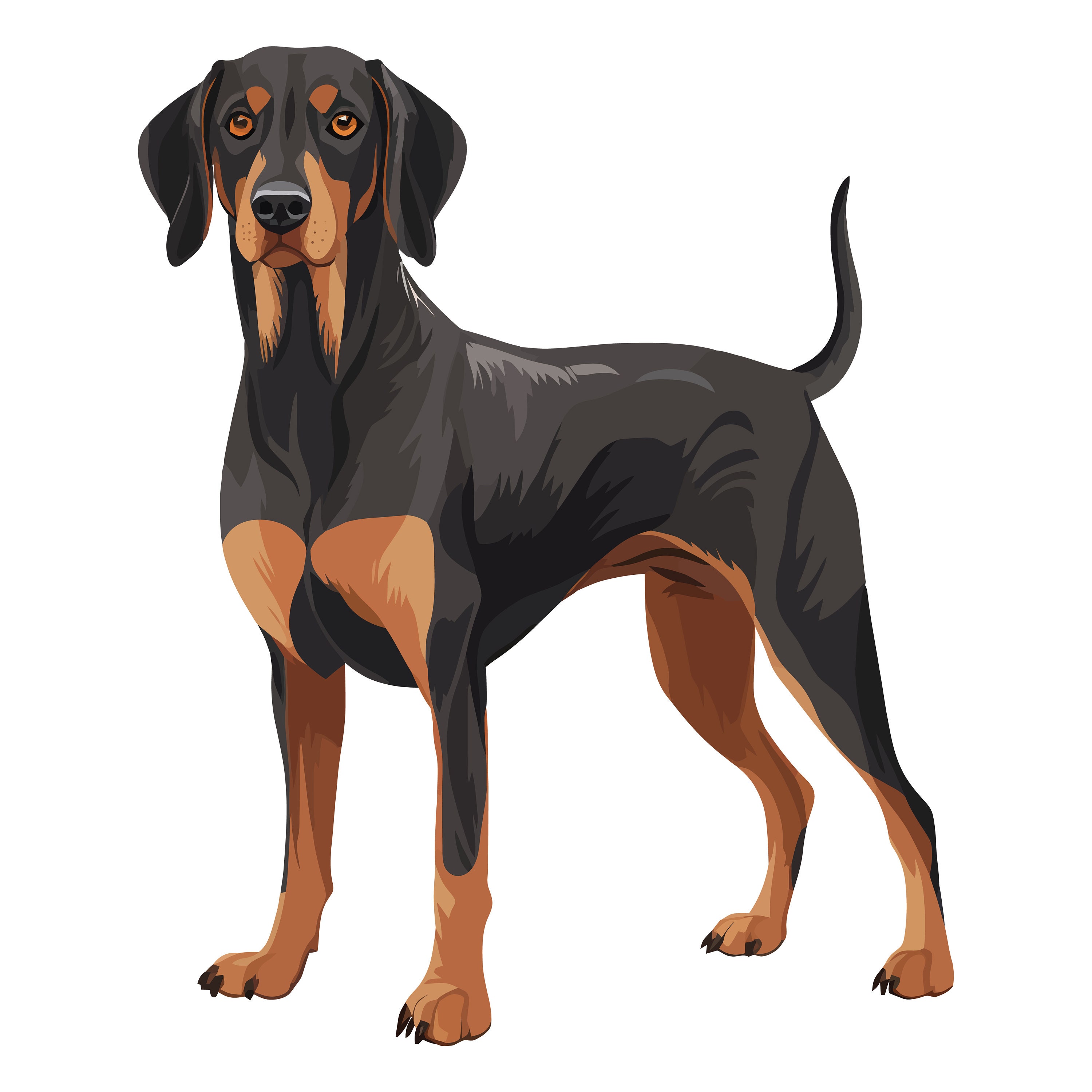Black and Tan Coonhound Car Decal Dog Sticker - Etsy
