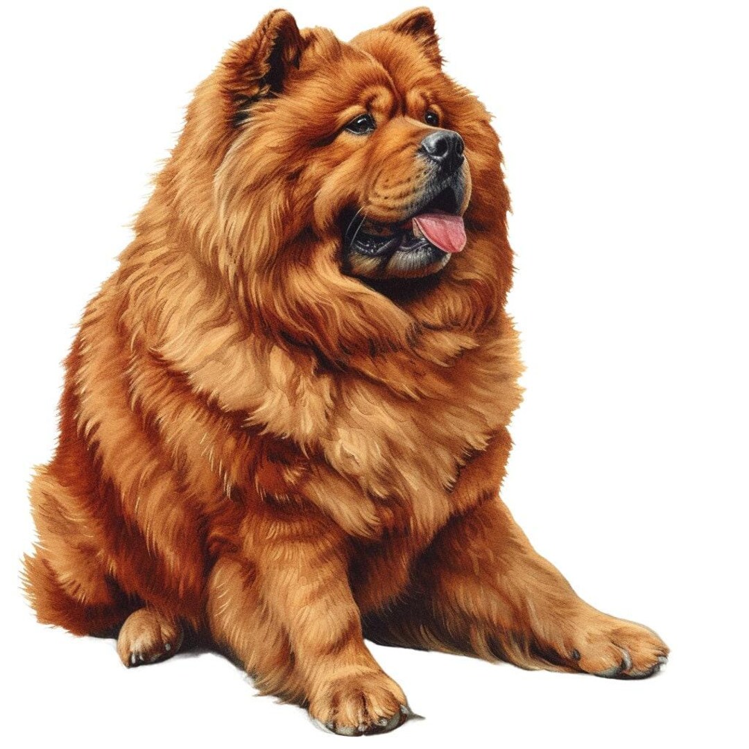 Chow Chow Car Sticker – Weatherproof Dog Sticker for Car Window Laptop ...