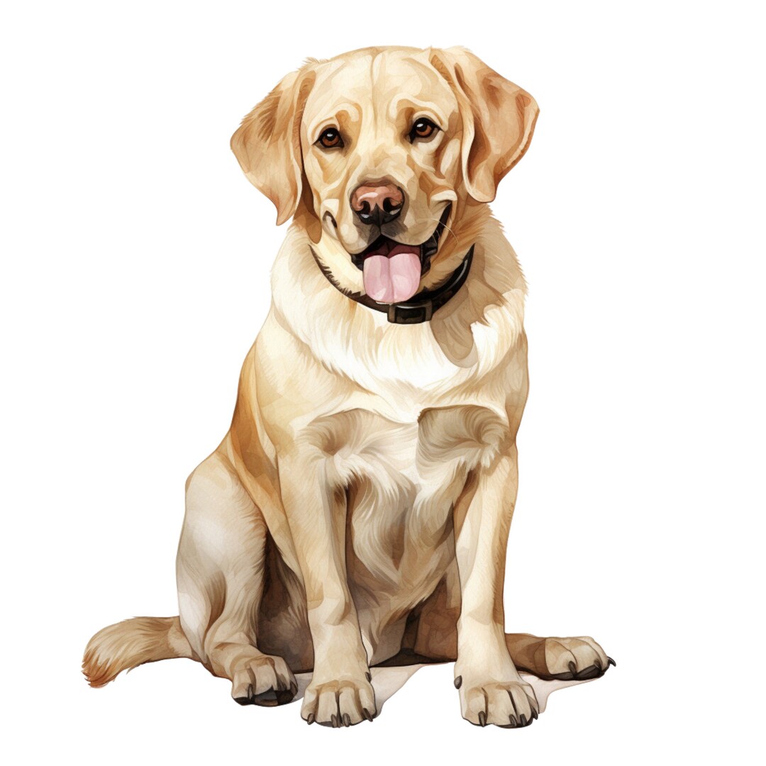 Labrador Retriever Car Sticker Dog Sticker - Etsy