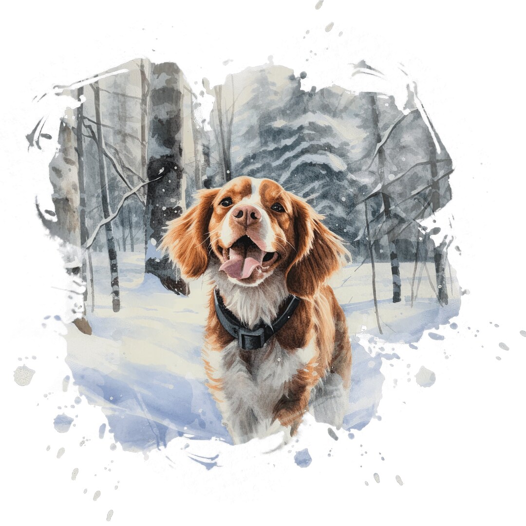 2X Epagneul Breton Car Sticker Dog Sticker - Etsy