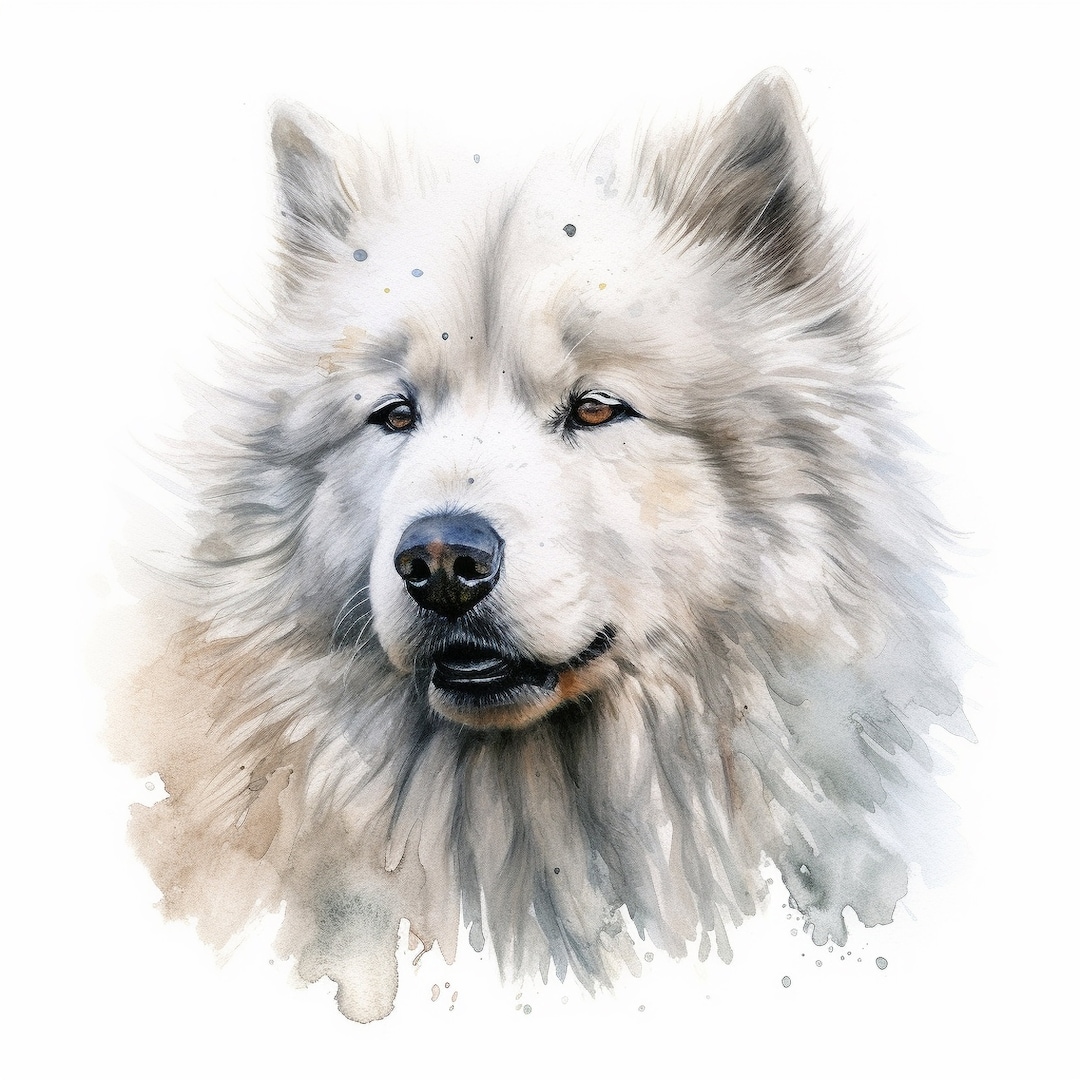 Samoyed Car Decal Dog Sticker - Etsy