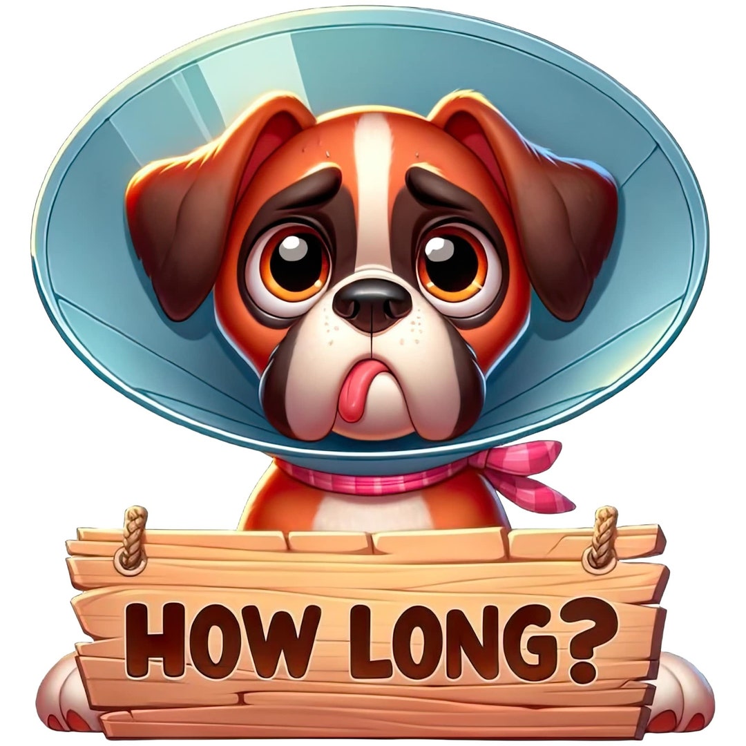 Funny Dog Car Sticker Dog Sticker Personalizable With Dog Name - Etsy