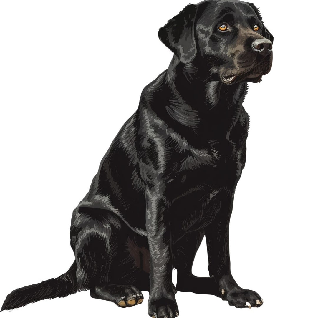 Labrador Retriever Car Decal Dog Sticker - Etsy