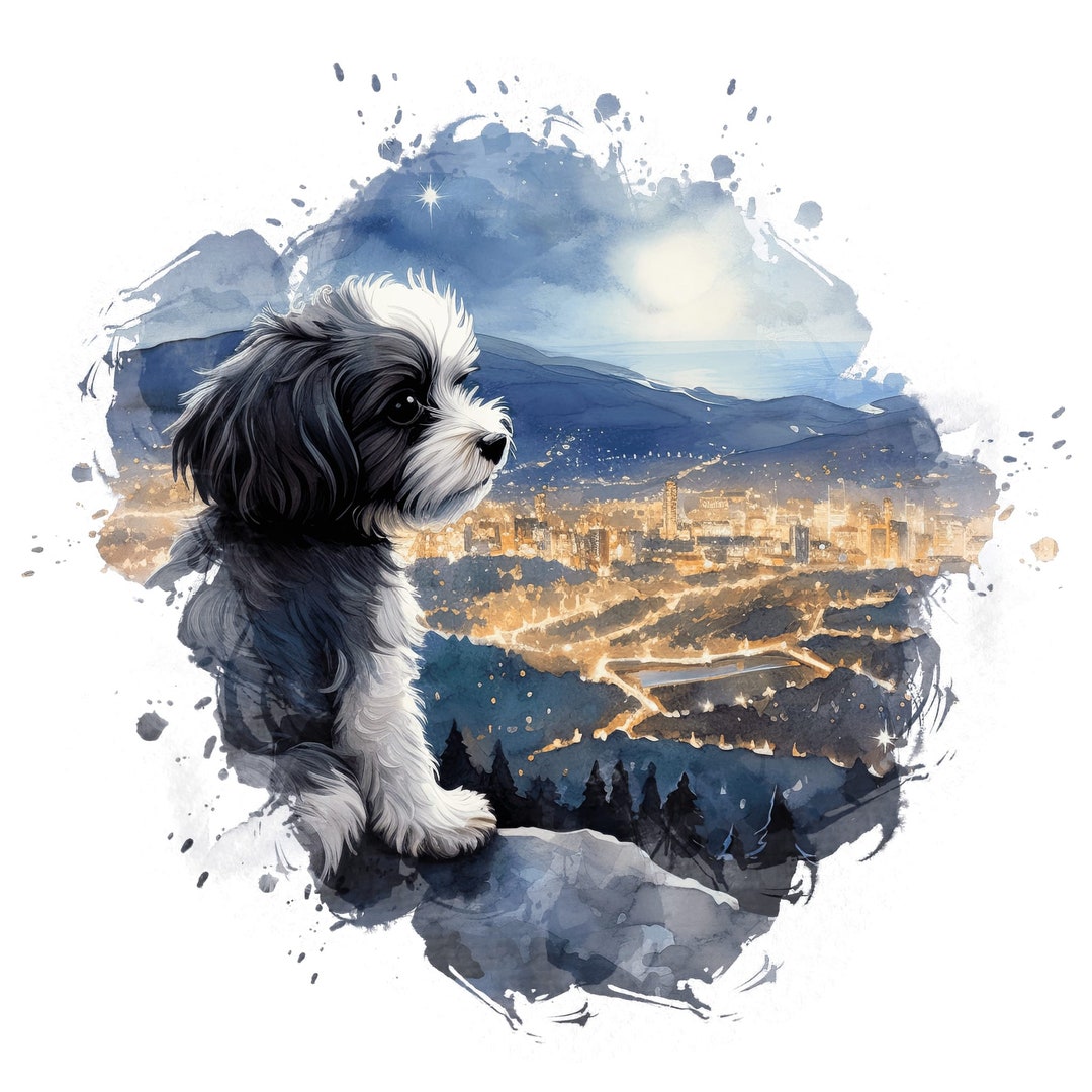 Havanese Car Decal Dog Sticker - Etsy